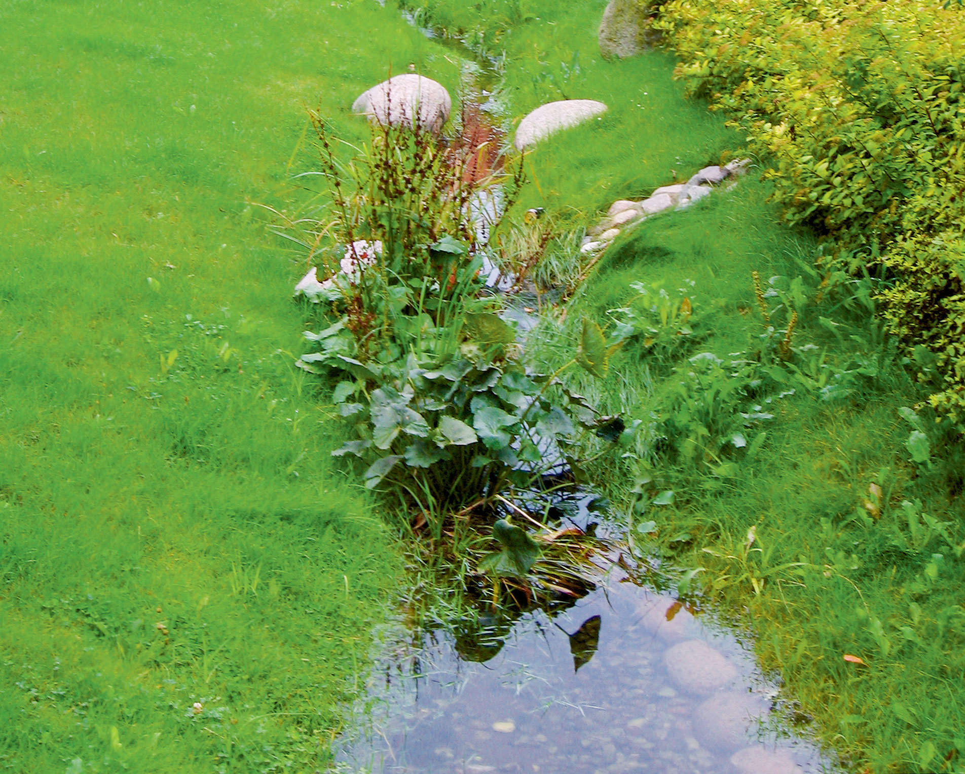 Greppel | Eindhovenduurzaam